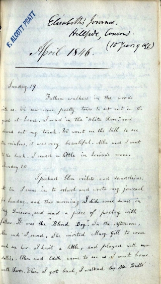 The Littlest Woman: The Life and Legacy of Lizzie Alcott, the Real Beth ...